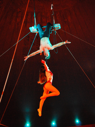 Aerial Group 991 International Talent Agency Rising Stars