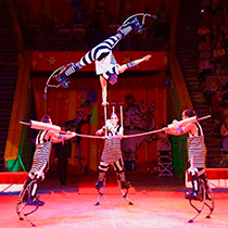 Groups / Agency "Rising Stars"