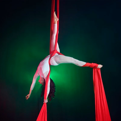 Aerial Silks And Hoops Instructor 67 | Talent Agency Rising Stars