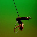 Aerial Silk Trapeze Hoop Acts 1559