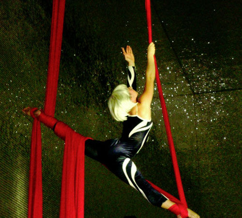 Aerial Silk Trapeze Hoop Acts 1559